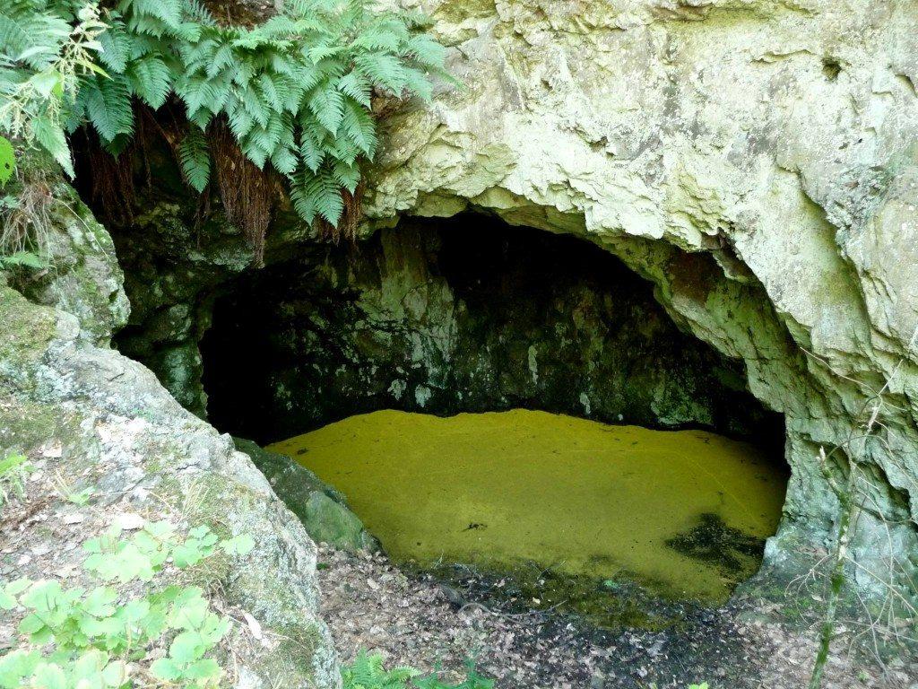 Magi of Strandja Mountain - Adept Initiates