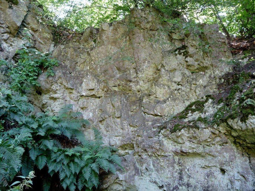 Magi of Strandja Mountain - Adept Initiates